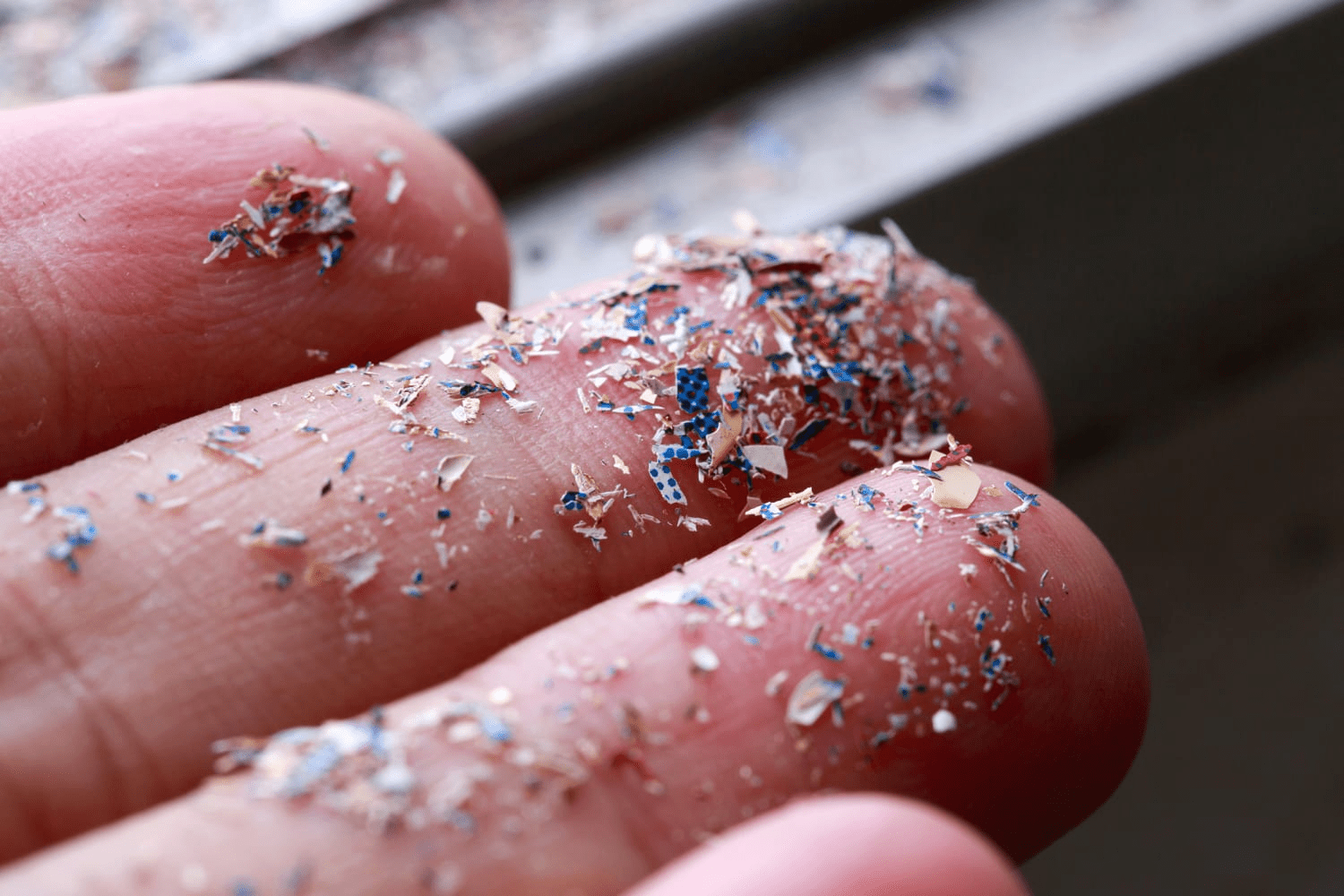 How do microplastics enter the food chain? | Science Snap