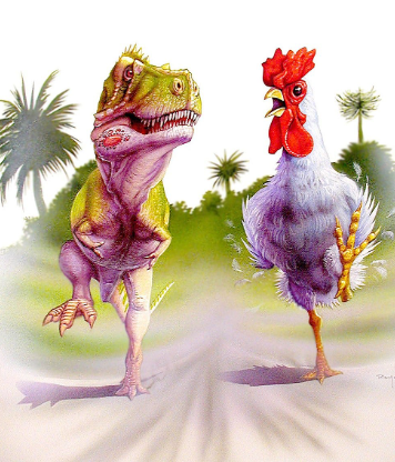 Dinosaurs Evolution: Chickens the closest relatives to dinosaurs?