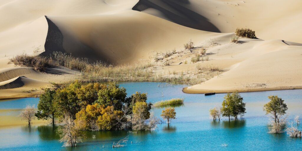 Caspian Tiger - Facts and Extinction | Science Snap